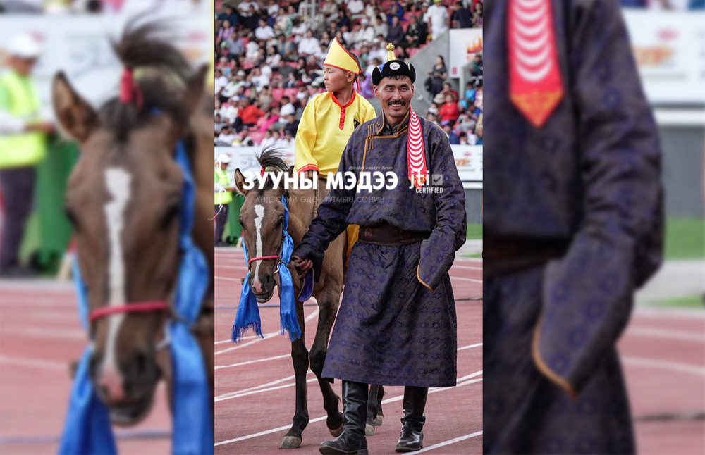 Э Улаанхүү Төрийн наадамд зорьж уясан хул даага маань сайхан айрагдлаа